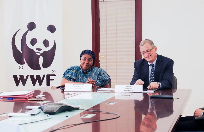 Gabon : Precious Wood et WWF en partenariat pour une gestion durable ...