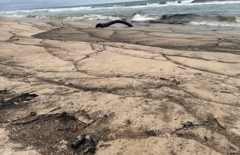 Pollution aux hydrocarbures à Mayumba : le Gabon déclenche une enquête ...