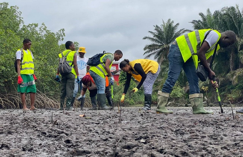 Gabon : une initiative verte pour un avenir durable à Alibandeng