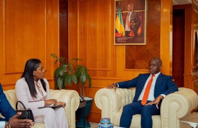 Gabon : Nkok entre dans la bataille mondiale des données